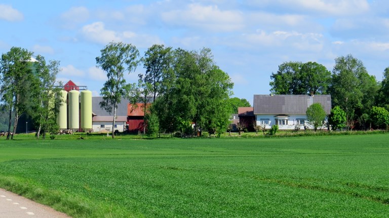 Hede 110, gårdens historia
