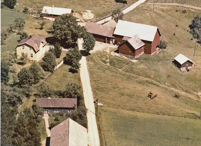 Flygfoto över Gissle och Dalagården.jpg