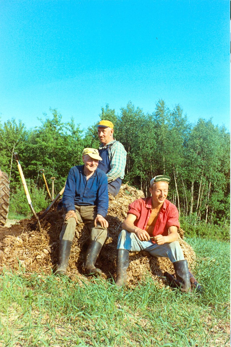 Gissle gödselarbete 1964