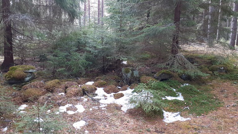 Bråtarne kordinat x 6617507 y 1344589.jpg?w=768