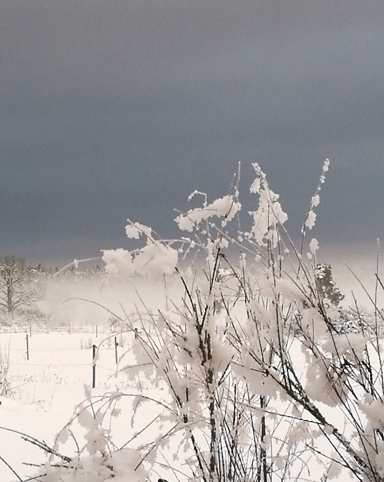 Buttle Hembygdsförening