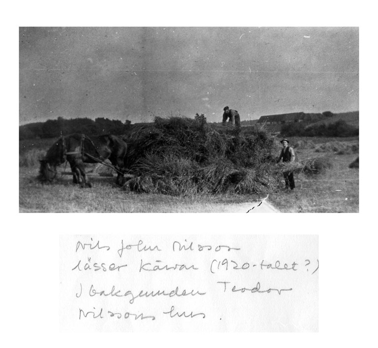 Hörröd, Nils John Nilsson lässer kärvar, 1920-talet