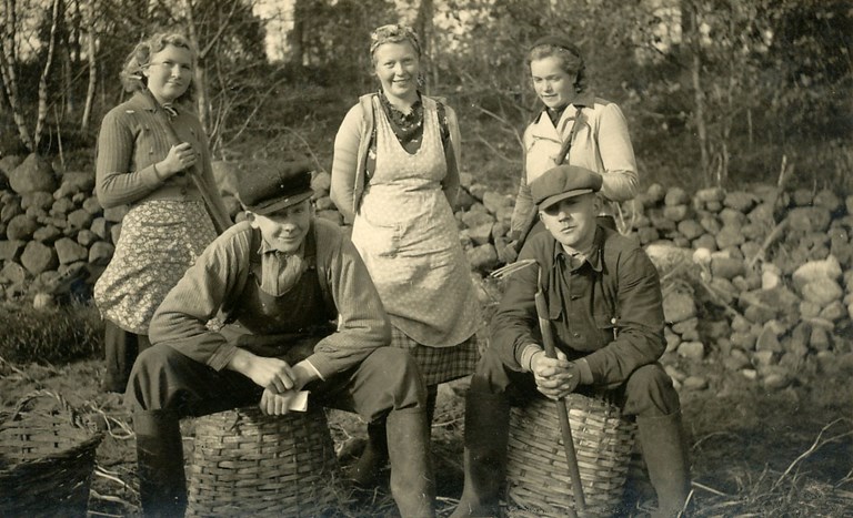 Rast under potatisplockning.jpg