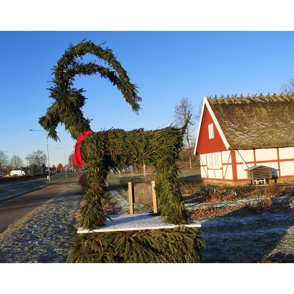 Månadens bild Julbocken