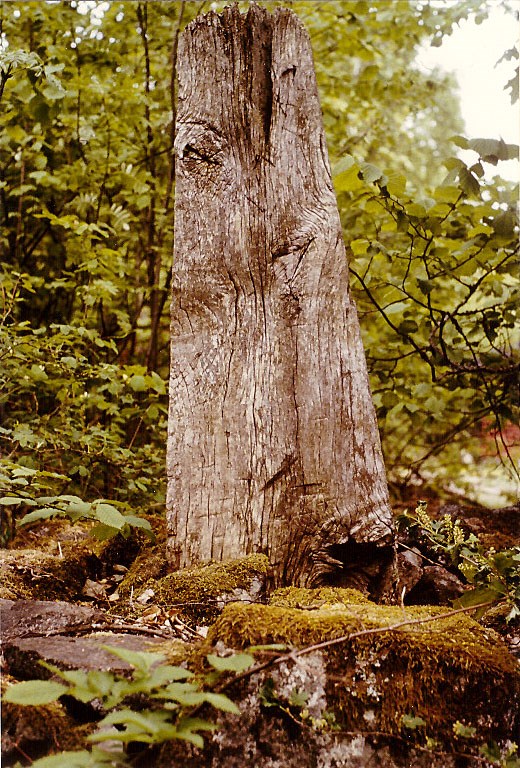 1341 Milstolpe norr om Långmon