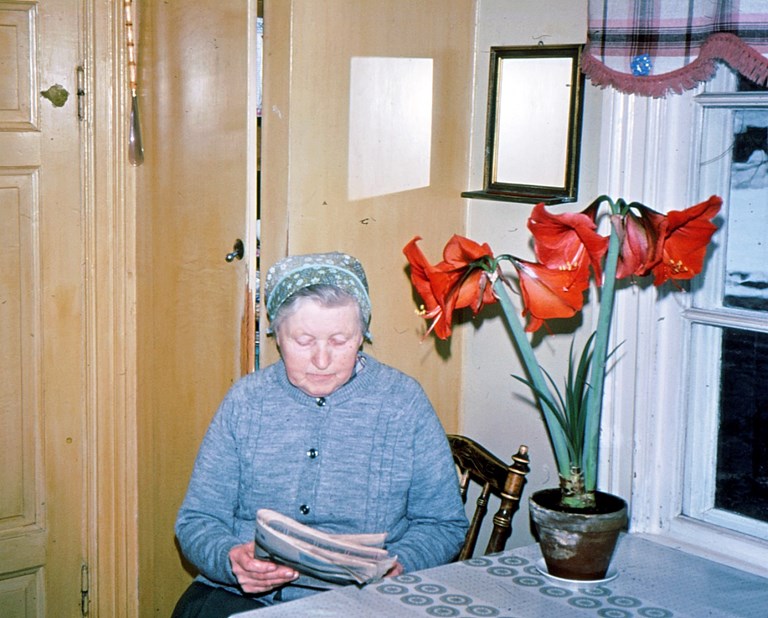 Linnea Carlsson Falla maj 77.jpg?w=768