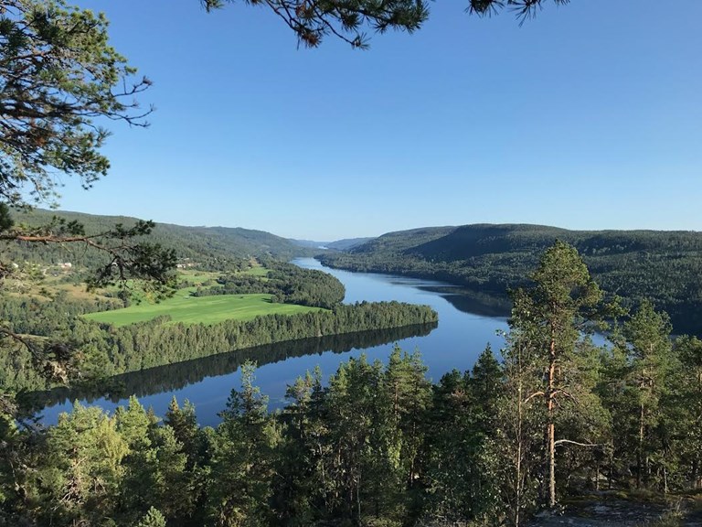 Lidens Hembygdsförening