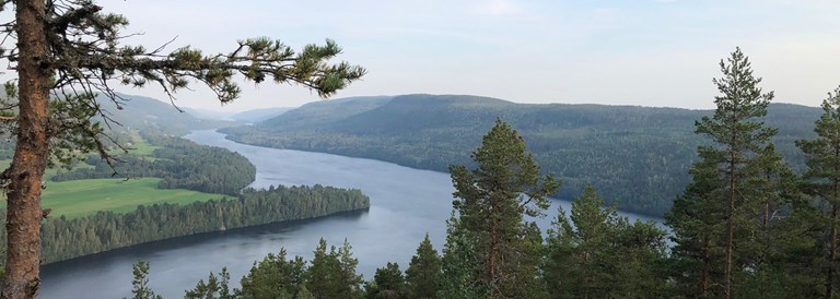 Lidens Hembygdsförening