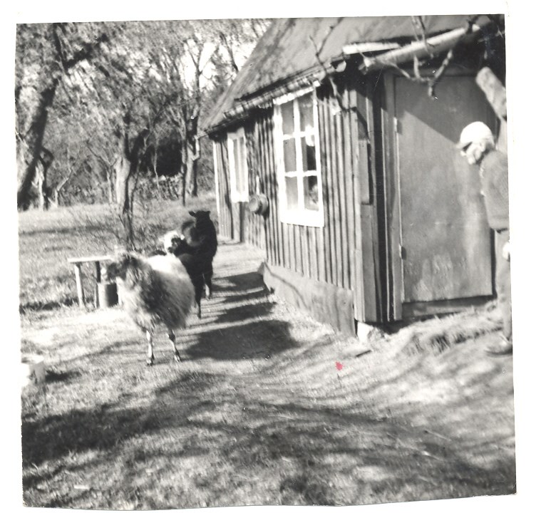 Brandsberga 2:16 Stenstorp senare kallats Toffel-Petters