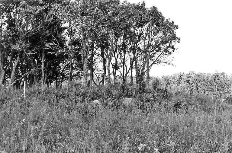 Skogstorp 1983 bild 3 husgrund.jpg?w=768