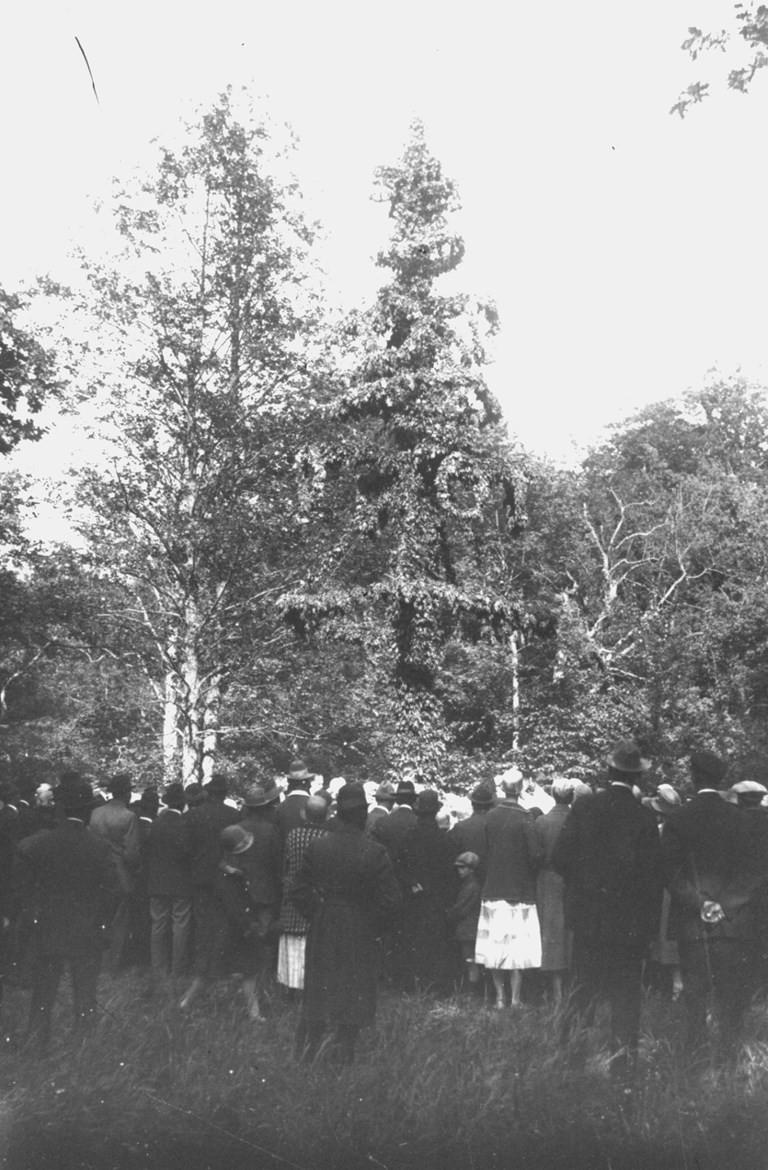 Midsommar stång bakom Lunden 1920 -21 bild606..JPG