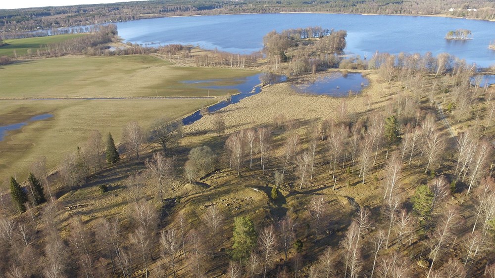 Historiens vingslag i Södra Ving