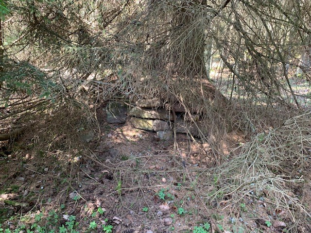 Anvarp backstuga.jpg?w=768