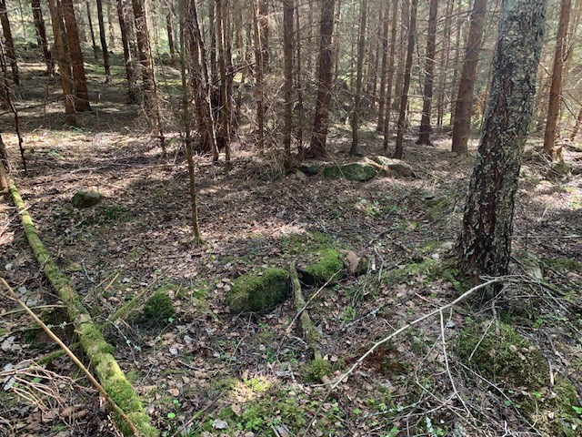 Månestorp Granelund.jpg?w=768